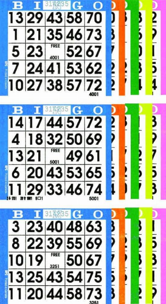 3 to view 5 page paper bingo card booklet - Canuck Amusements ...