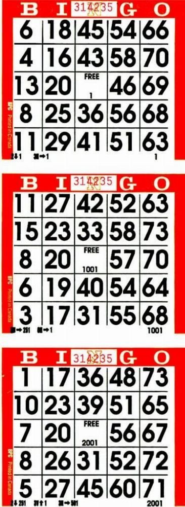3 to view paper bingo card - Canuck Amusements & Merchandising Ltd.